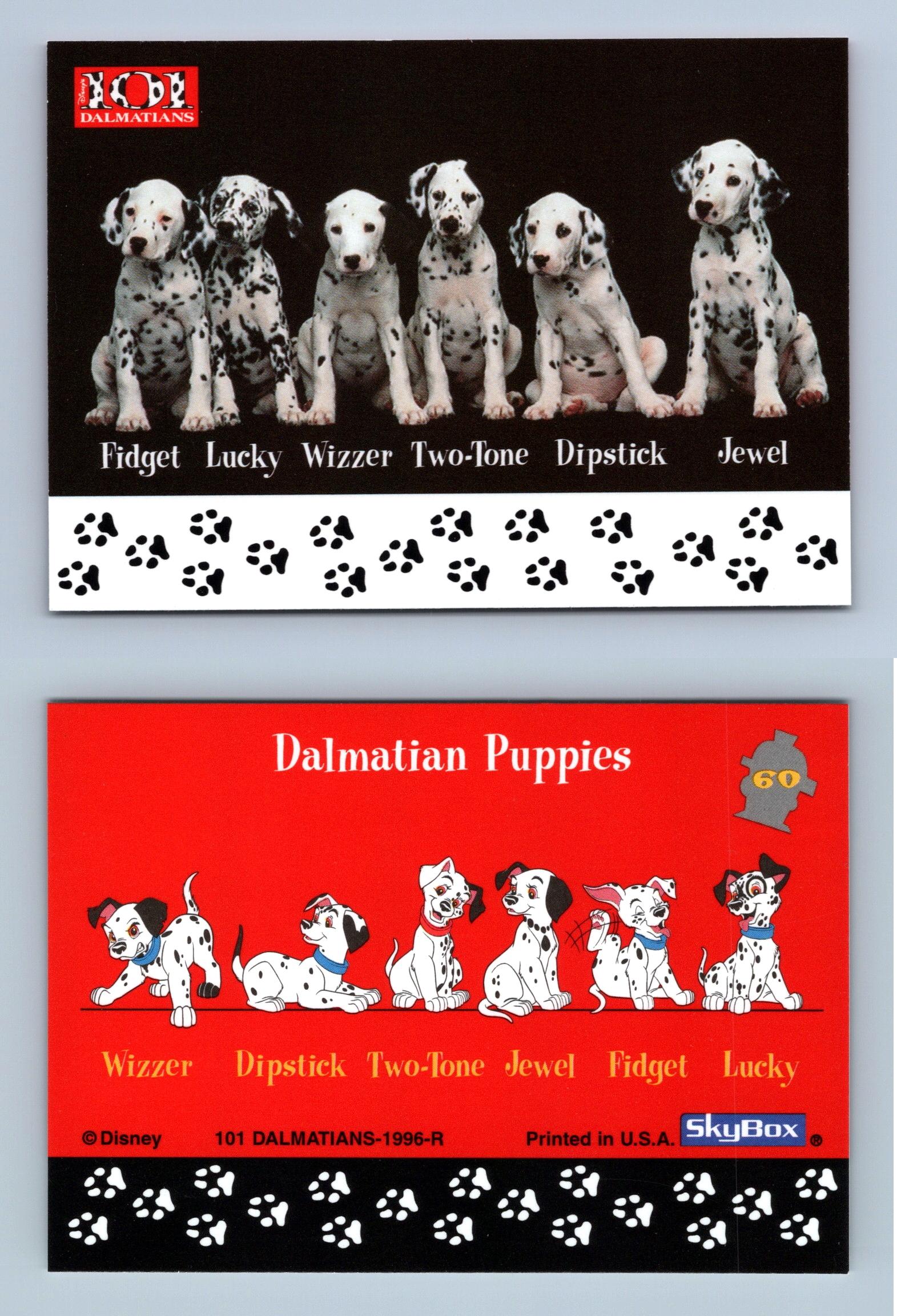 Dalmatian Puppies 60 Disney 101 Dalmatians 1996 Skybox Trading Card Dalmatian Puppies 60 Disney 101 Dalmatians 1996 Skybox Trading Card