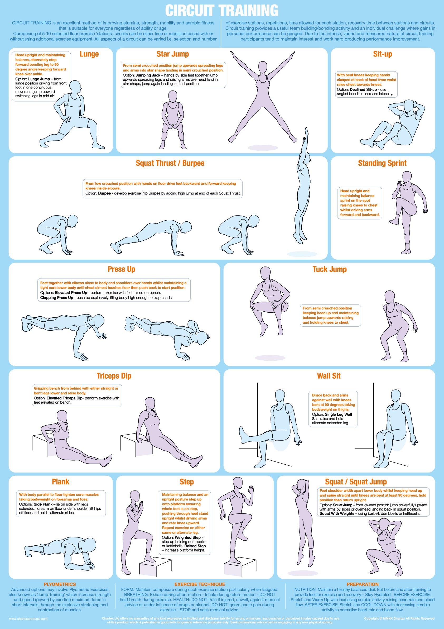 Circuit Training Exercise Poster Ubicaciondepersonas cdmx gob mx