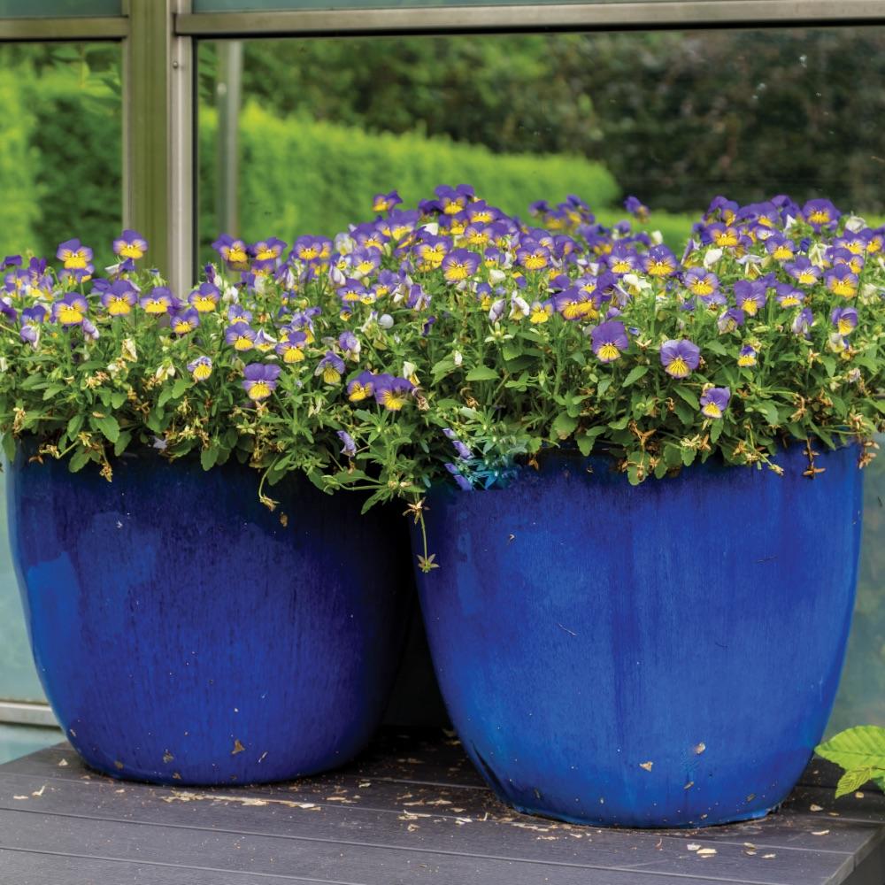 Pots Pots