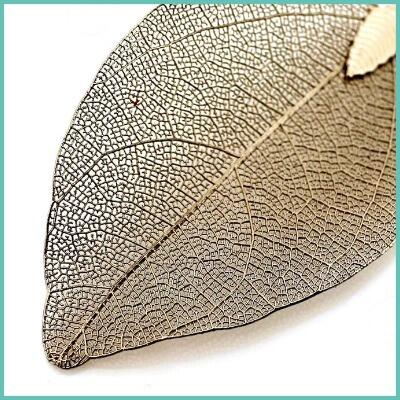 Electroplated Leaves