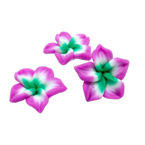 Your Shopping Basket