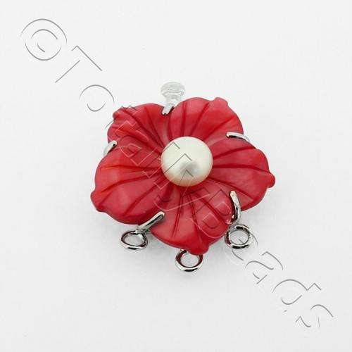 Box and Shell Clasps