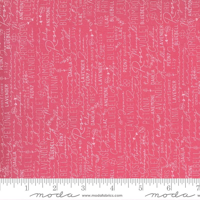 Spring Chicken - Words Pink - 55520 22