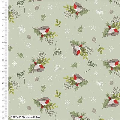 Christmas Hare and Robin - Robin Sage 2797-05