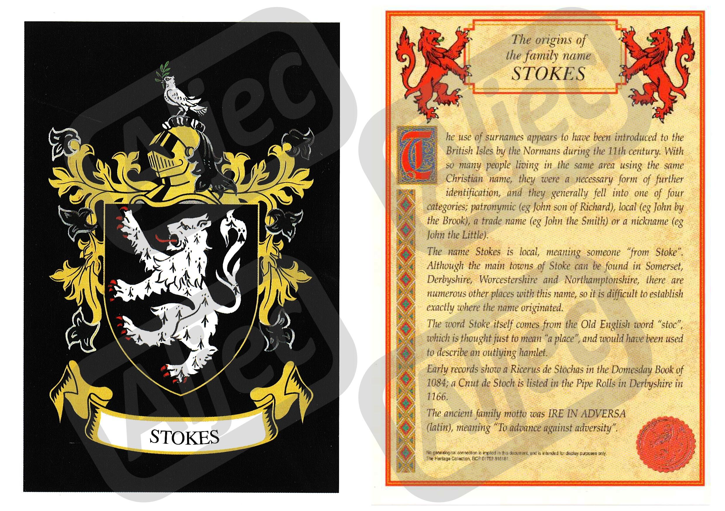 Coat of Arms Heritage Card - Stokes pk of 3