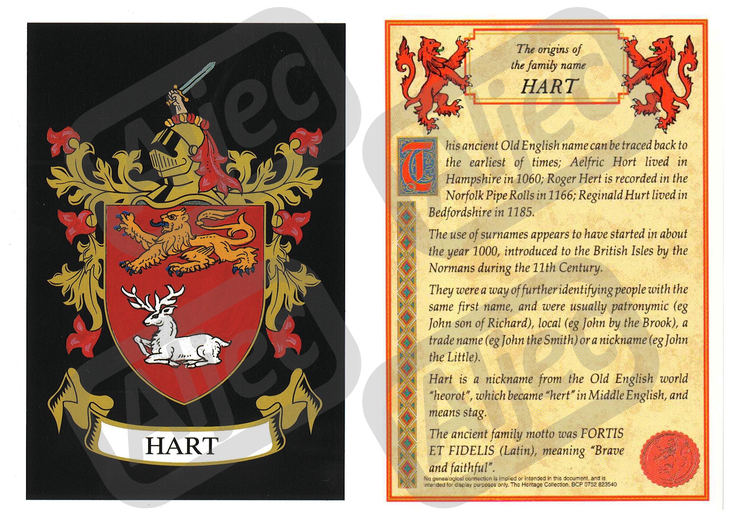 Coat of Arms Heritage Card - Hart pk of 3