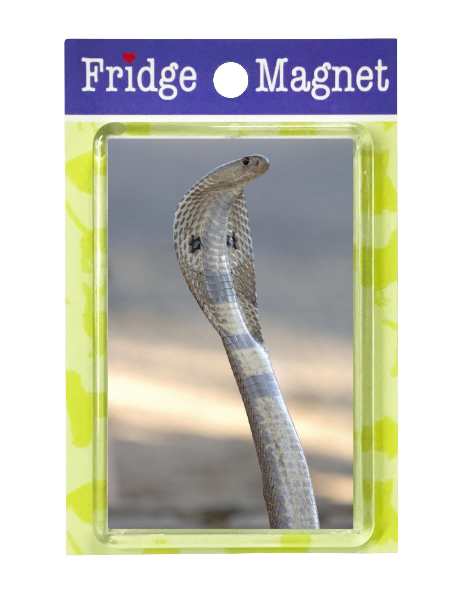 Snake Pet Magnet | Cute Animal Fridge Magnet