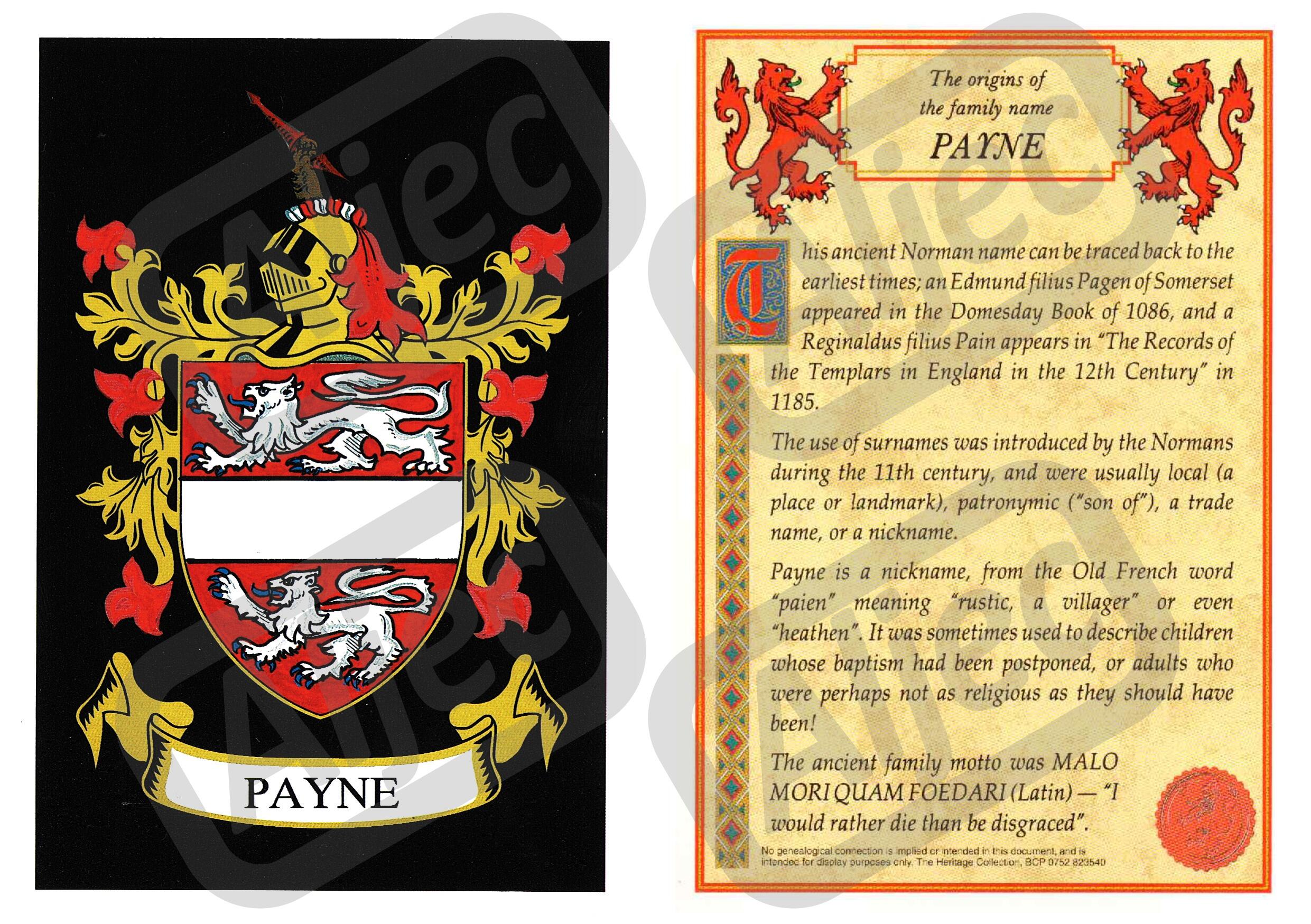 Coat of Arms Heritage Card - Payne pk of 3