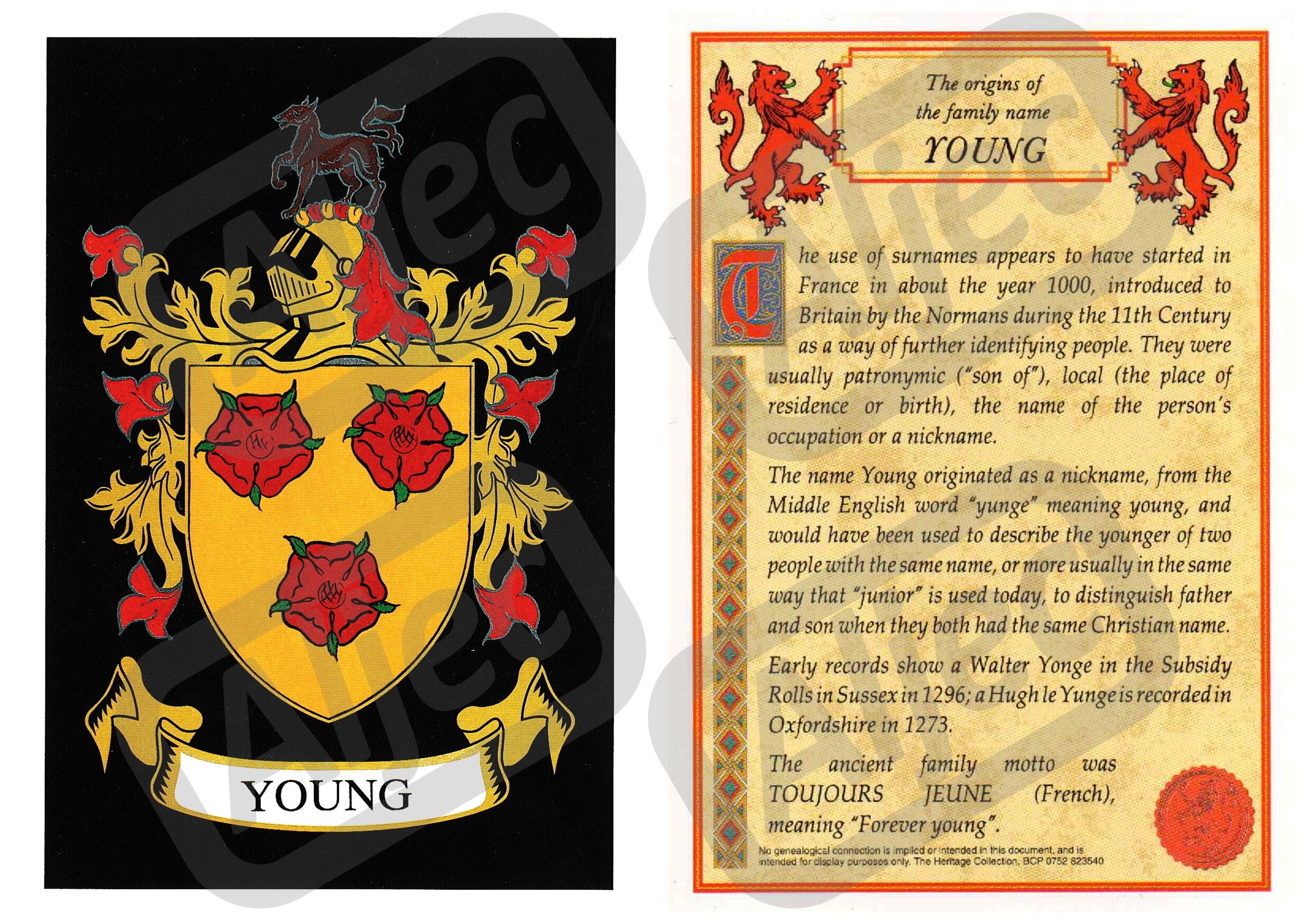 Coat of Arms Heritage Card - Young pk of 3