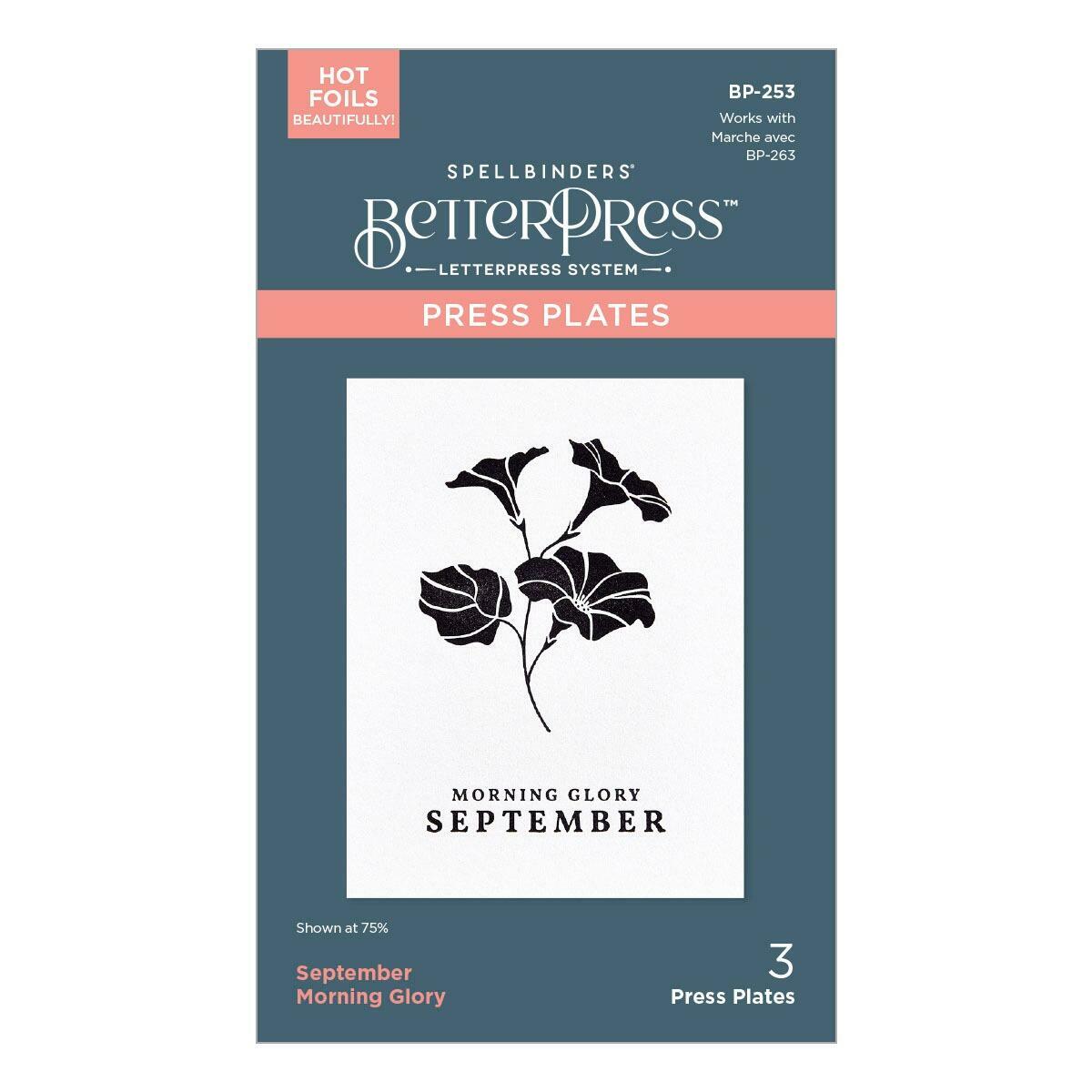 Spellbinders - September Morning Glory Press Plates from the Florals ...