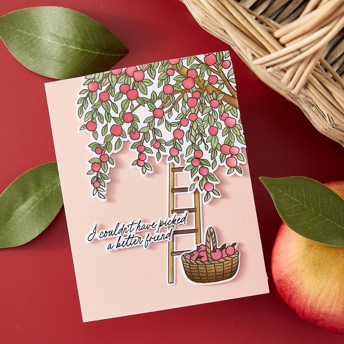 Hero Arts - In The Orchard Stamp & Cut Set from the I Pick You Collection