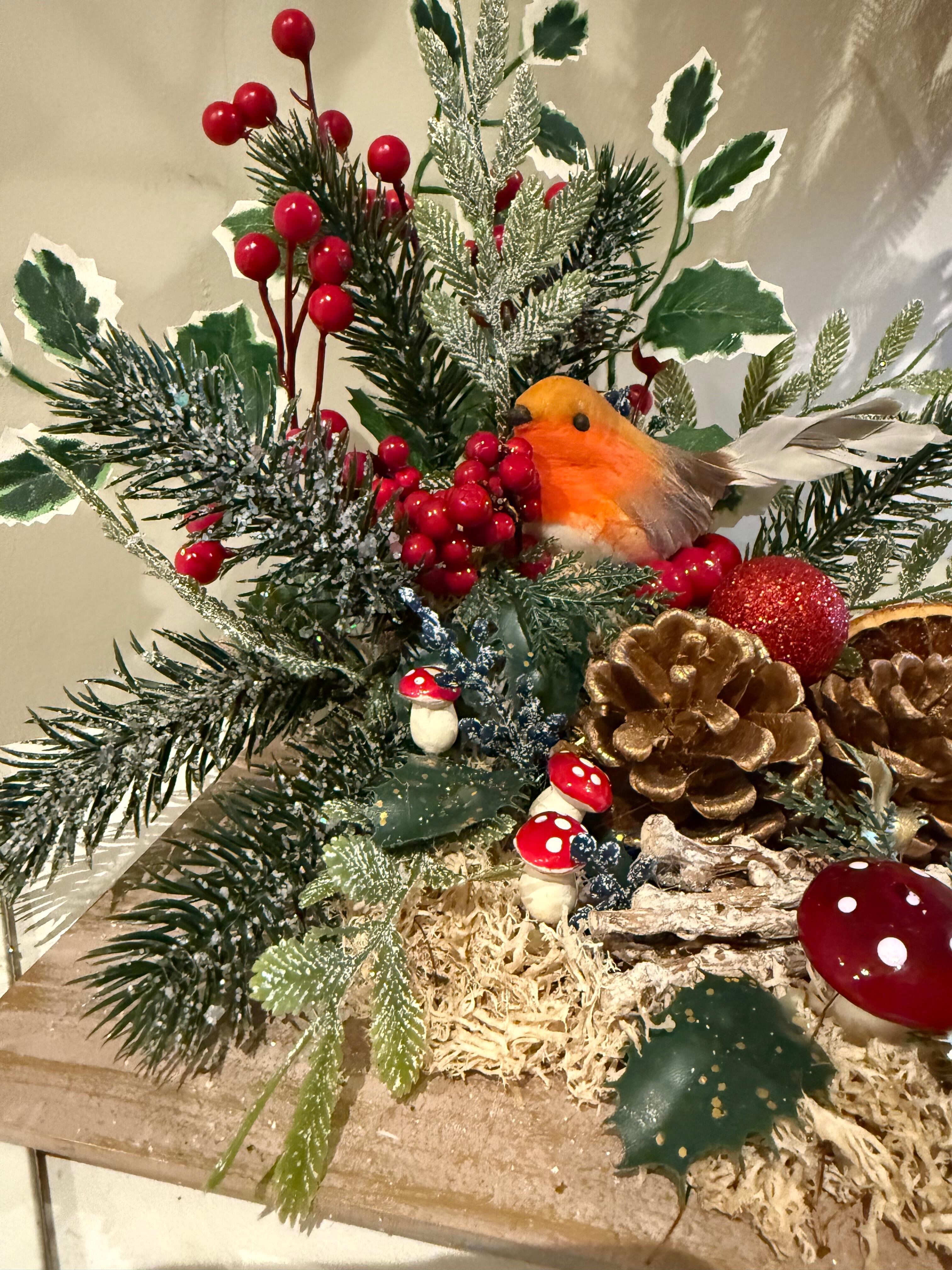 ROBIN FESTIVE DISPLAY