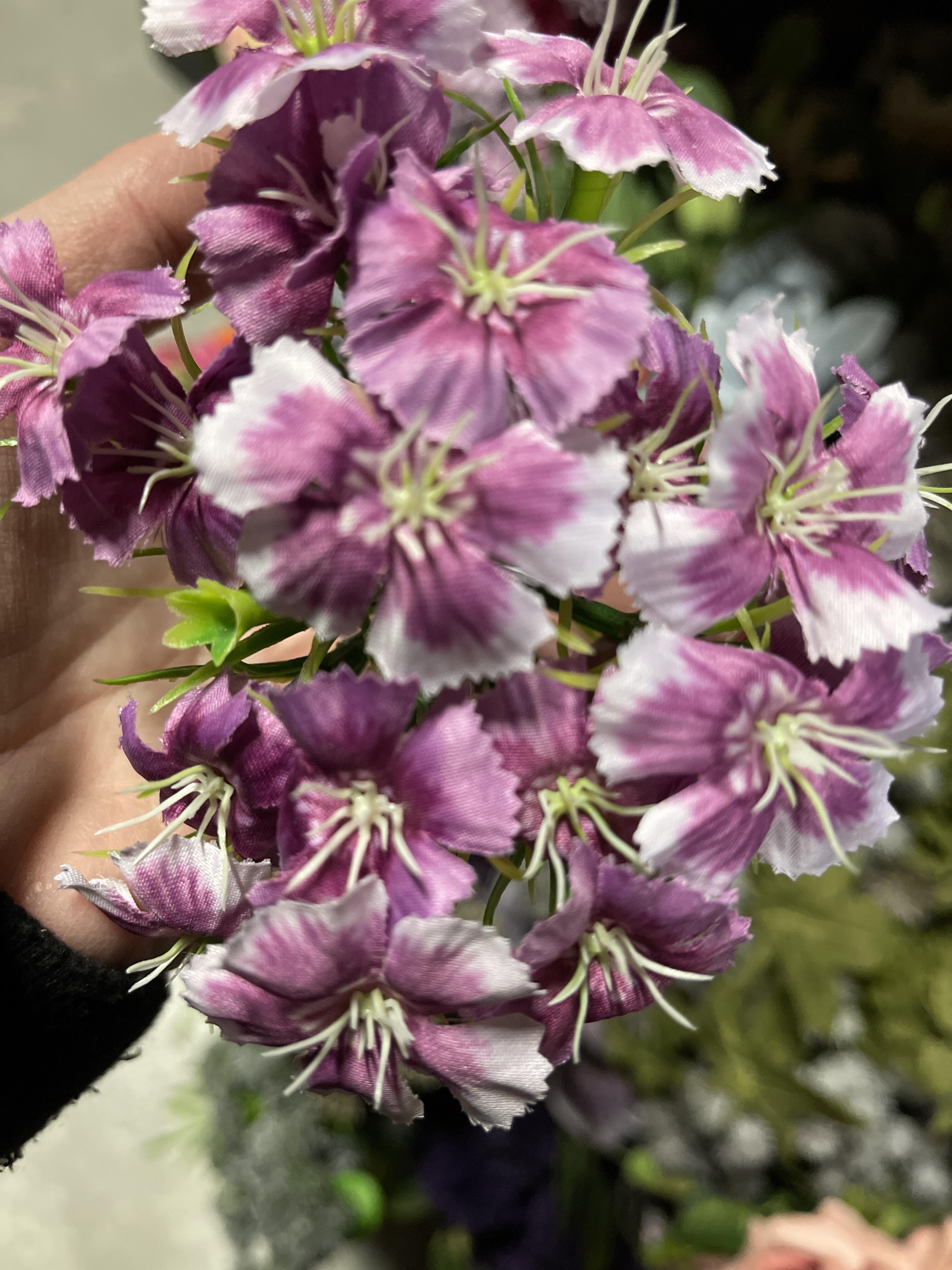 55cm DIANTHUS SPRAY VIOLET