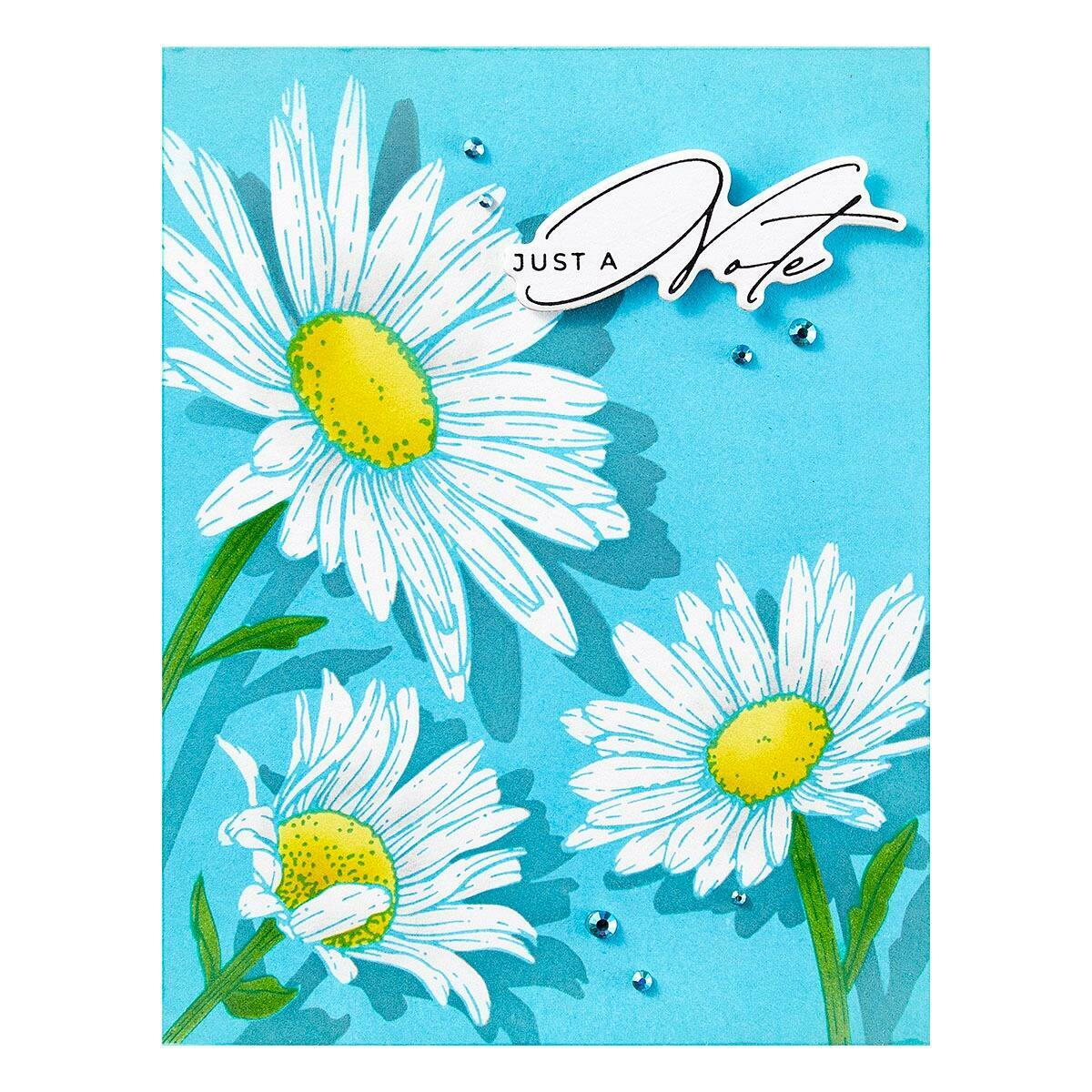 Spellbinders - Daisy Trio Press Plates from the Yana's Daisies ...
