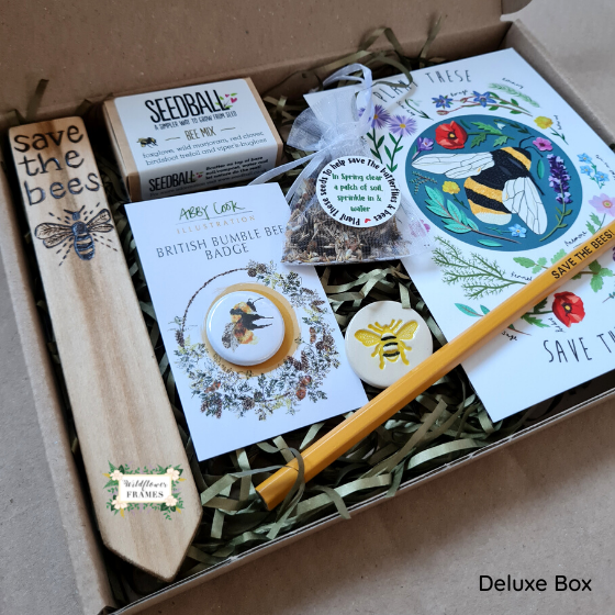Save The Bees Wildflower Gift Box - Perfect Gift!