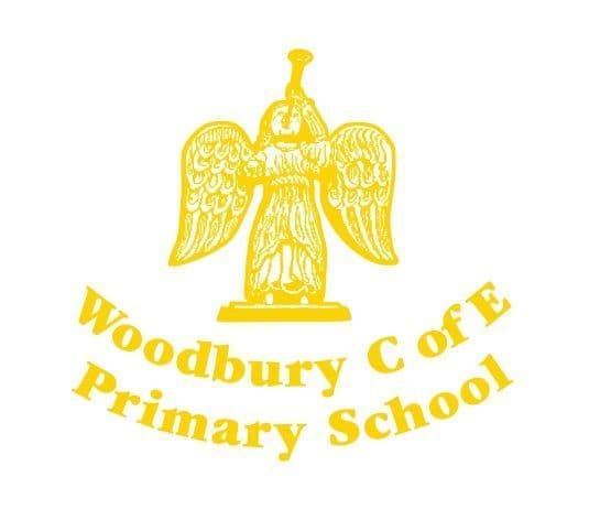 Woodbury C Of E Primary School