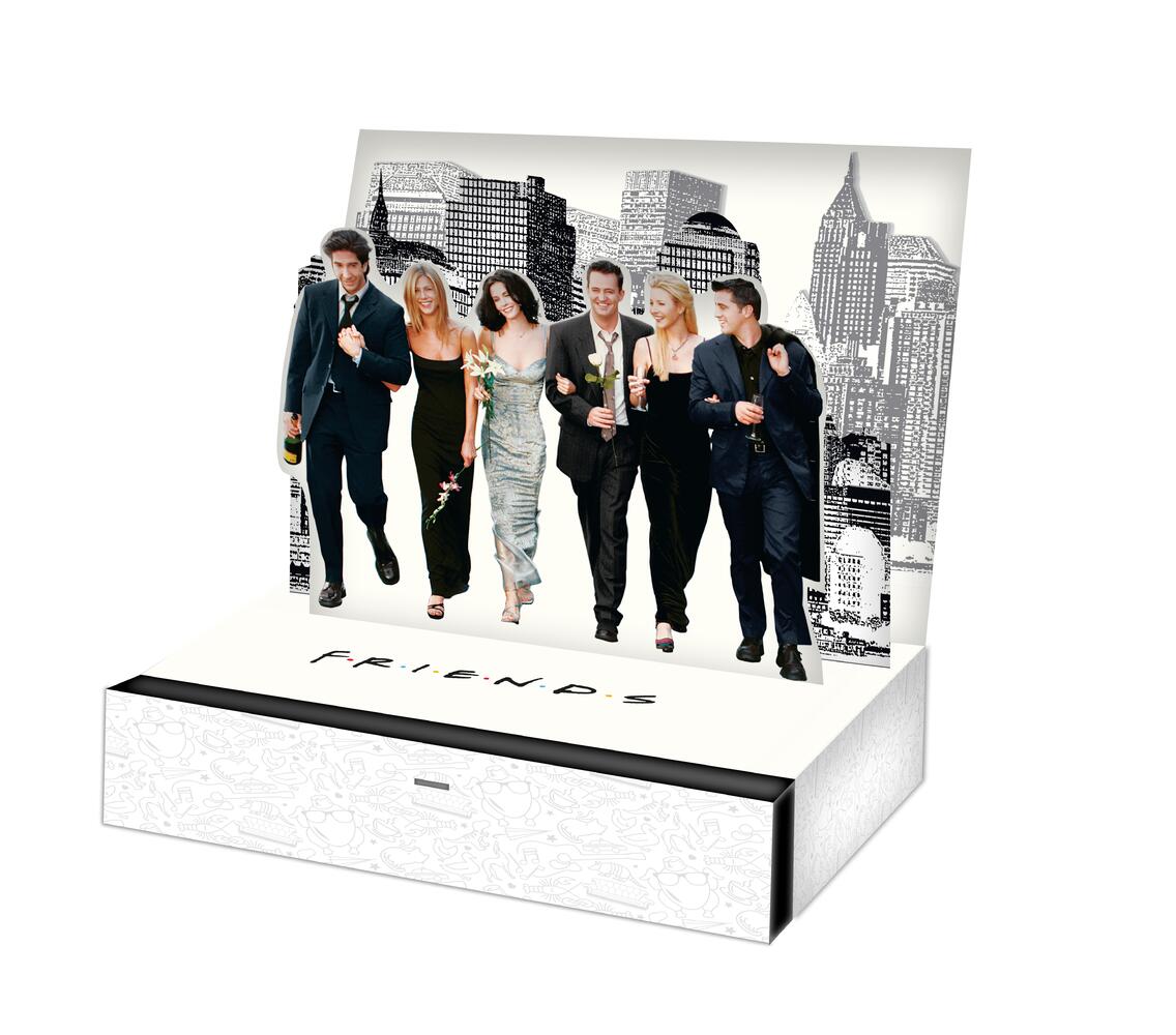 Friends Seasons 1 to 10 Complete Collection Limited Collectors Edition ...