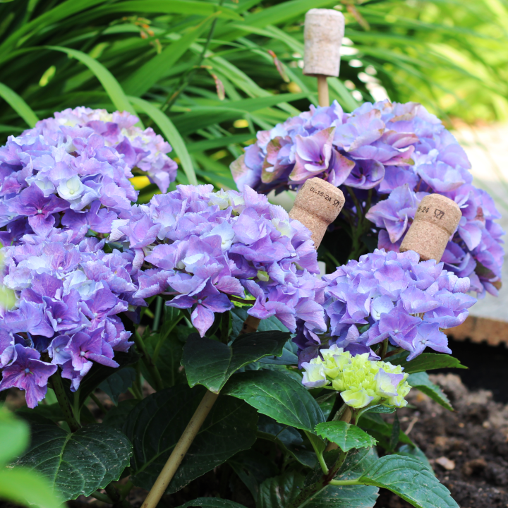 Make your own garden cane toppers | Simple DIY Project