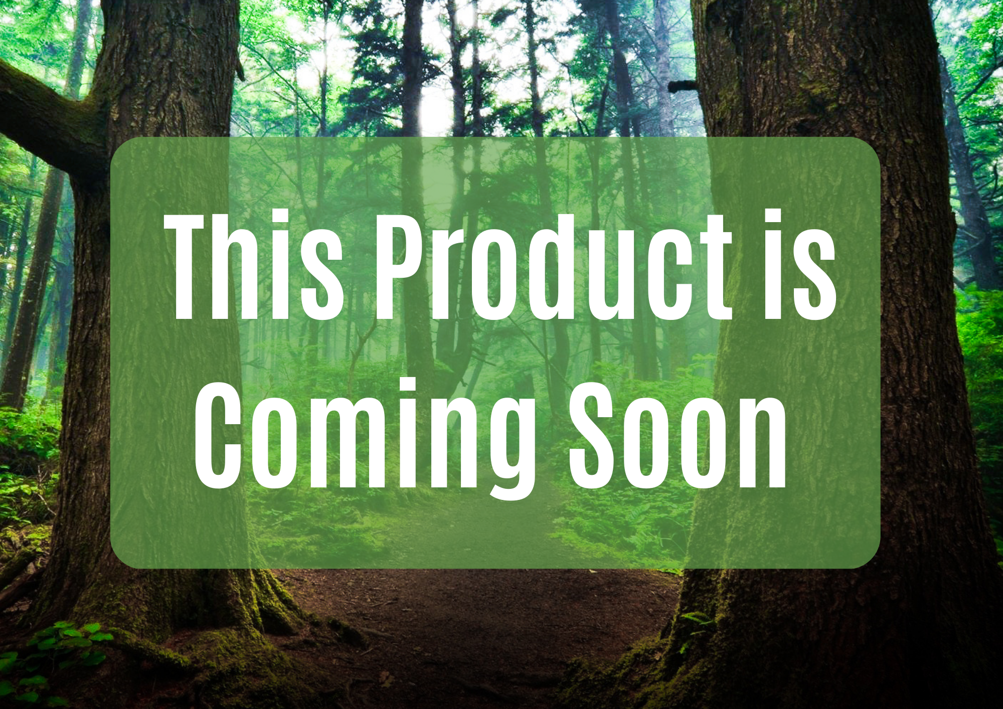 FX Dreamline Replacement Regulator