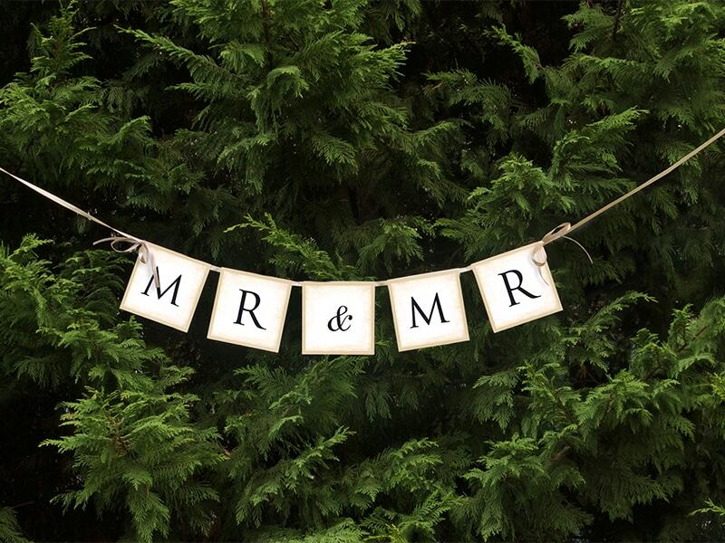 Wedding Car Banner Mr &Mr