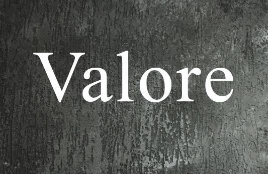 VALORE ACCESSORIES