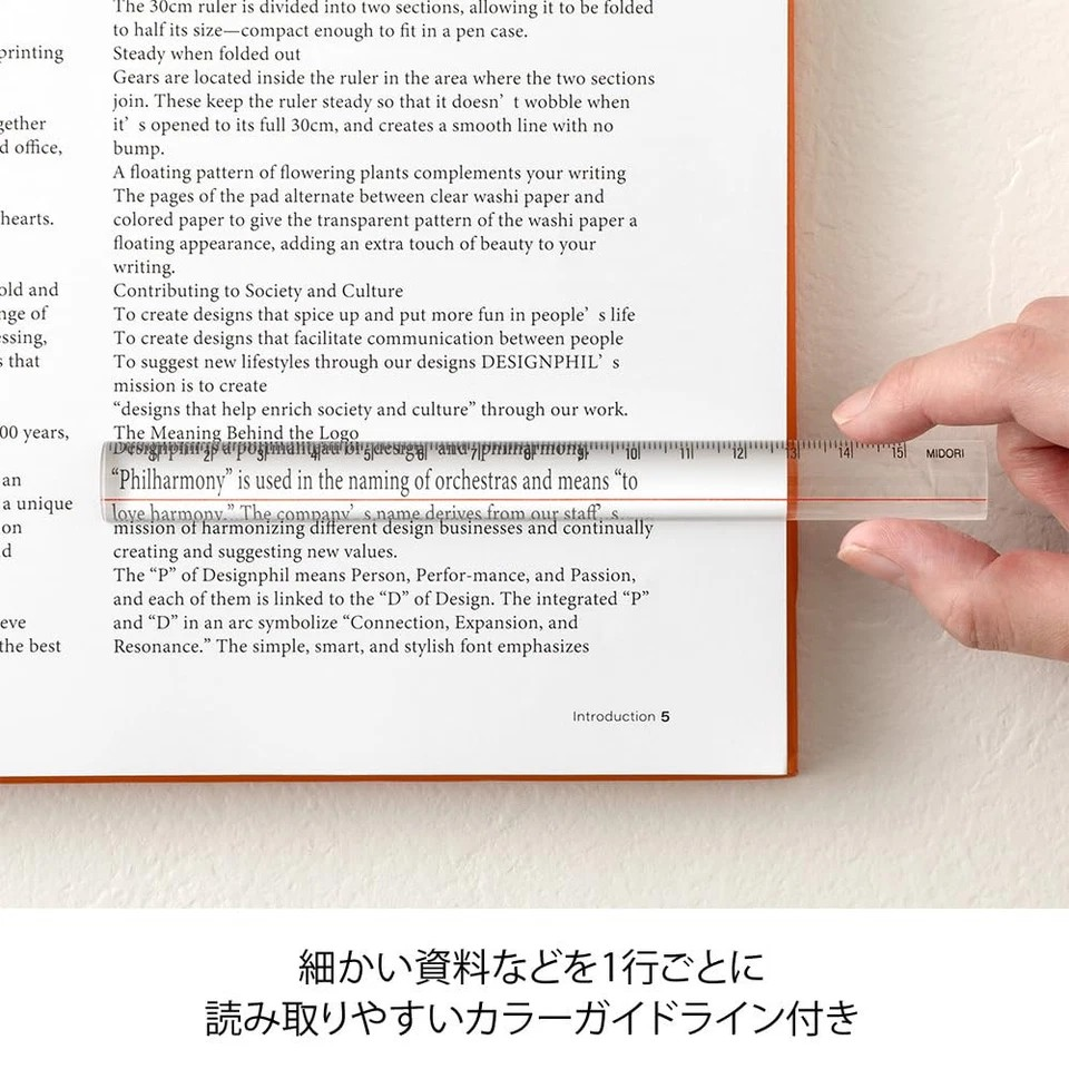 Midori Lens ruler - £1.60 UK delivery