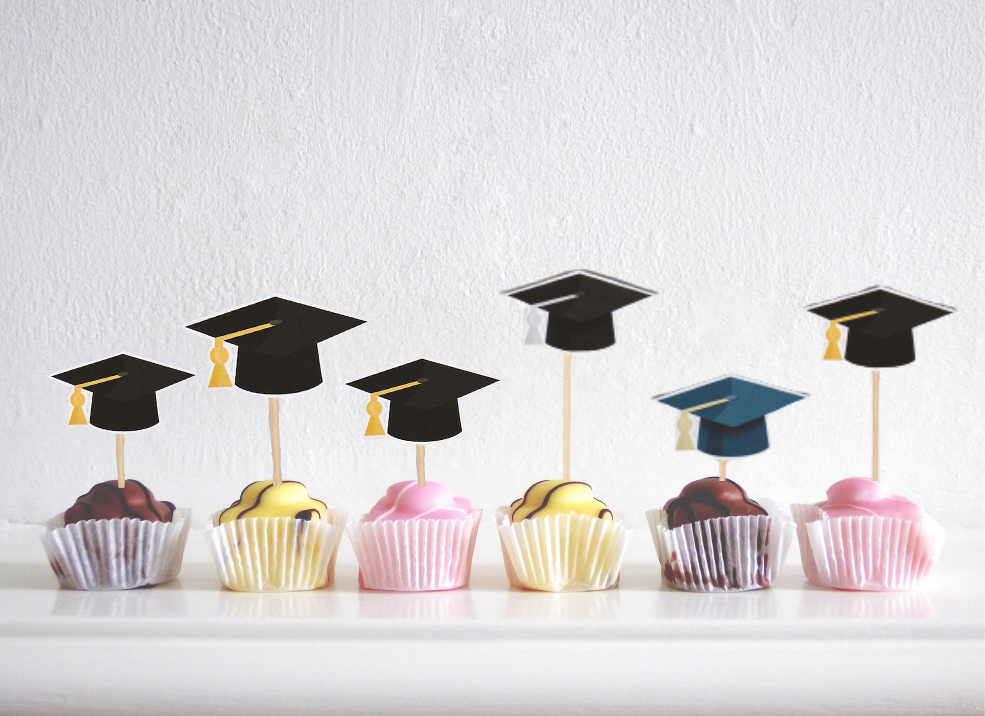 Graduation/Student/Collegiate cake topper / cupcake toppers