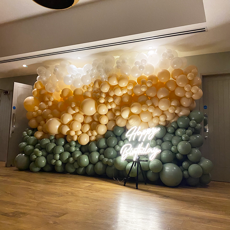 Balloon Image Gallery