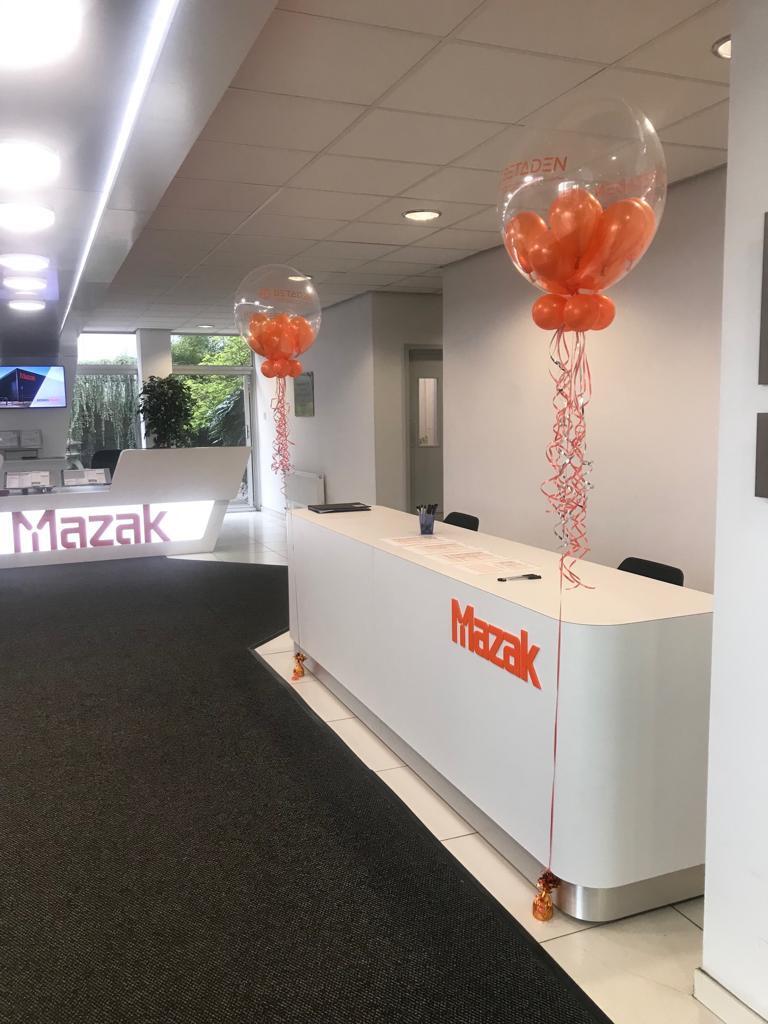 Balloon Image Gallery