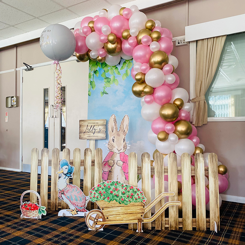 Balloon Image Gallery