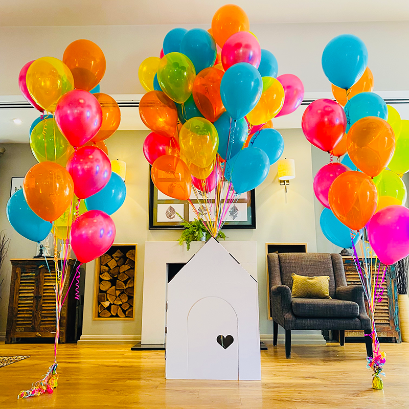 Balloon Image Gallery