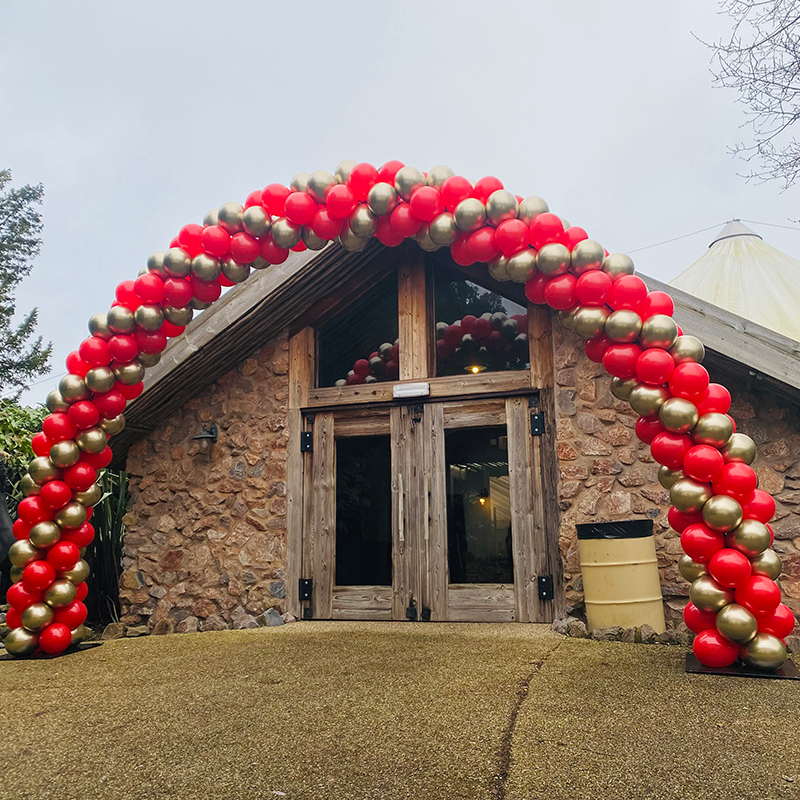 Balloon Image Gallery