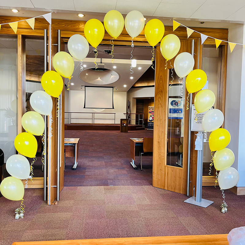 Balloon Image Gallery