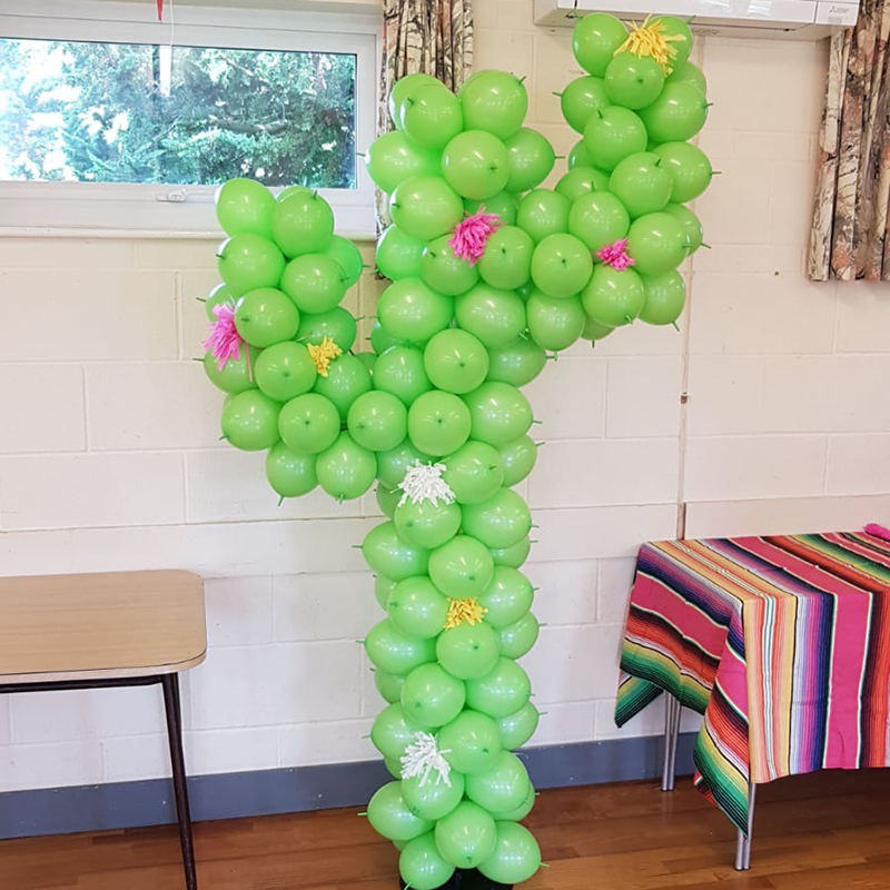 Balloon Image Gallery