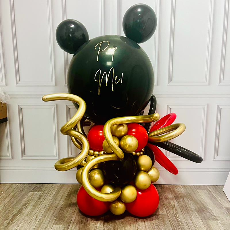 Balloon Image Gallery