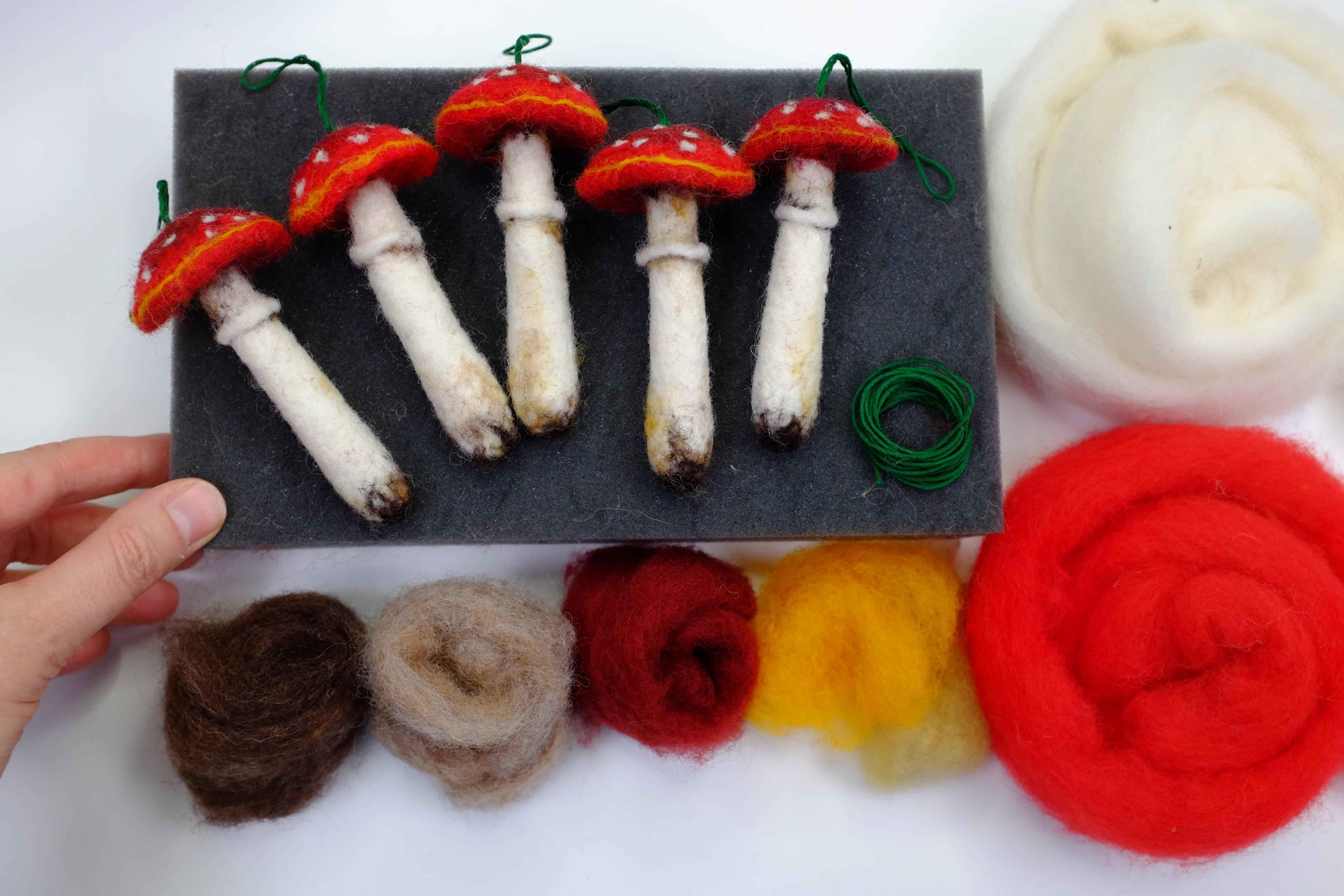 Festive Fungi Kit