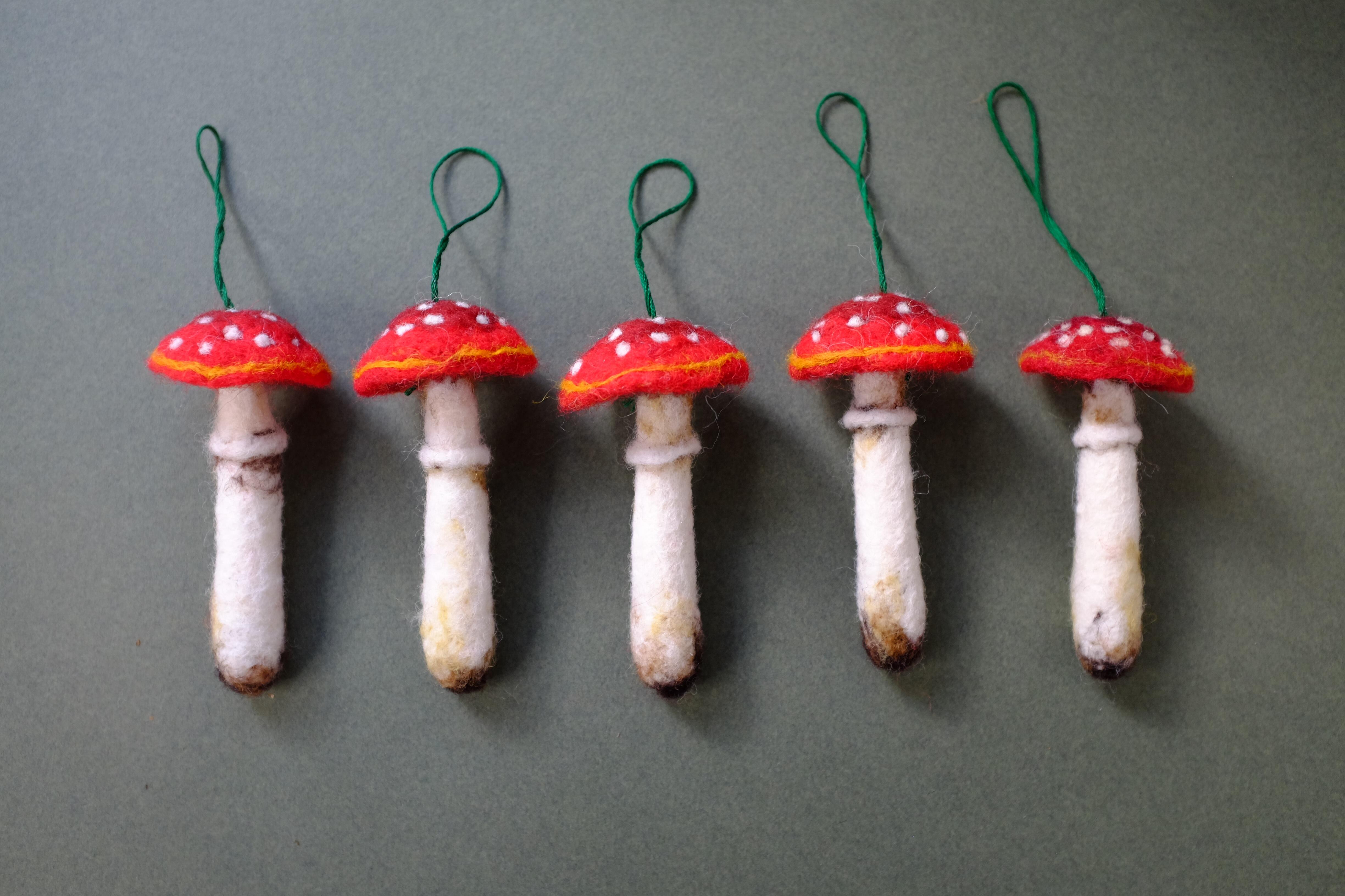 Festive Fungi Kit