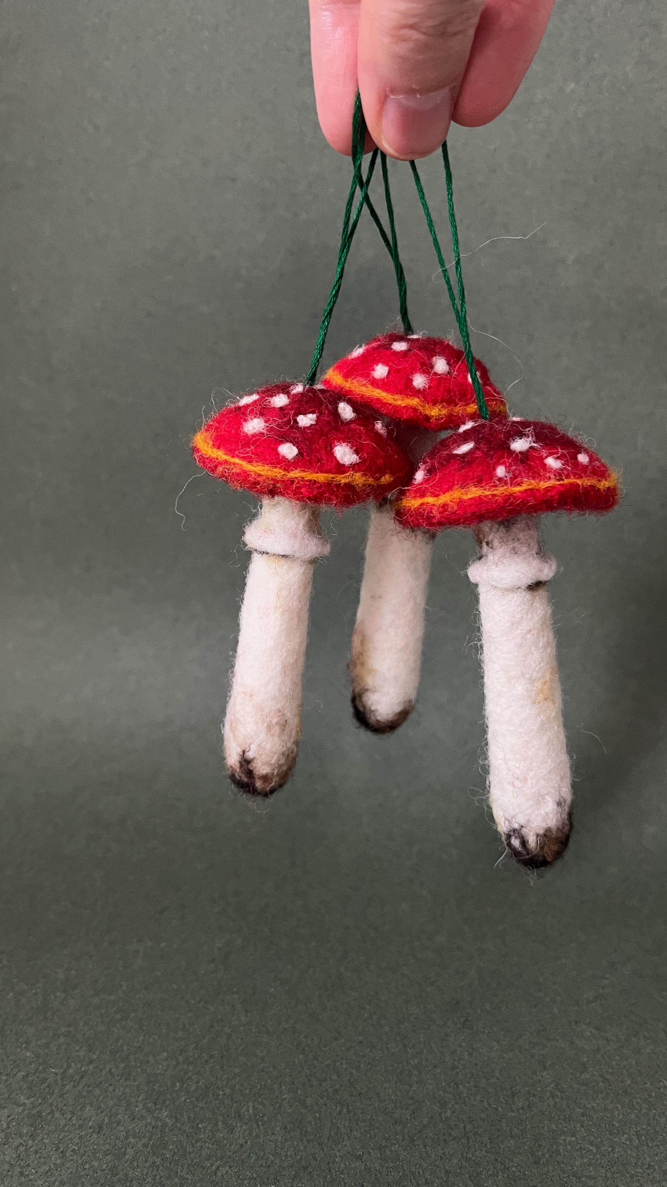 Festive Fungi Kit