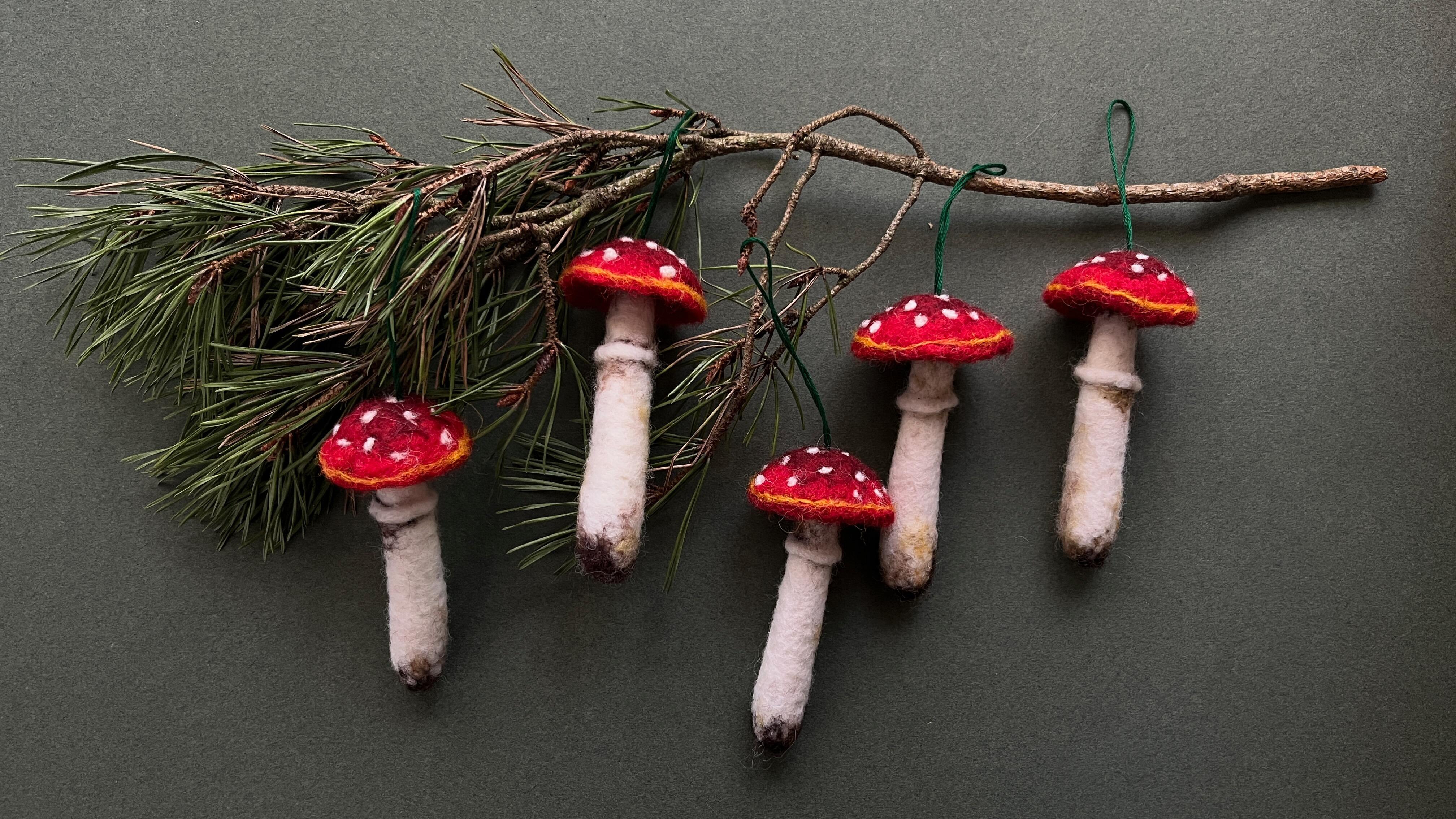 Festive Fungi Kit