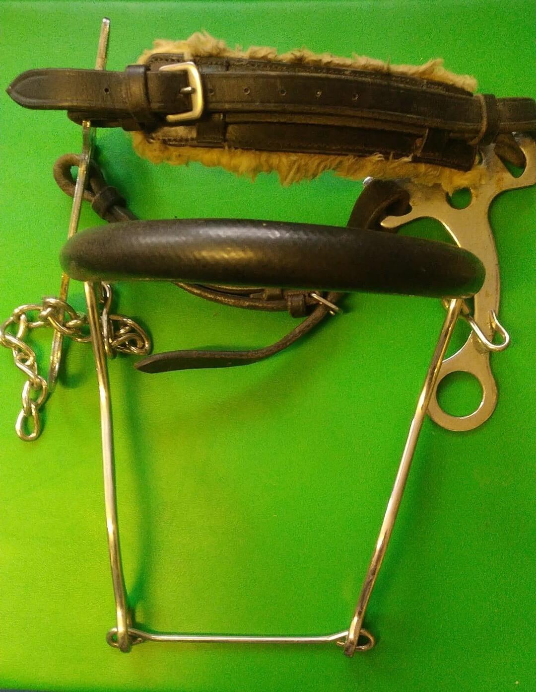 HACKAMORES - ENGLISH & GERMAN