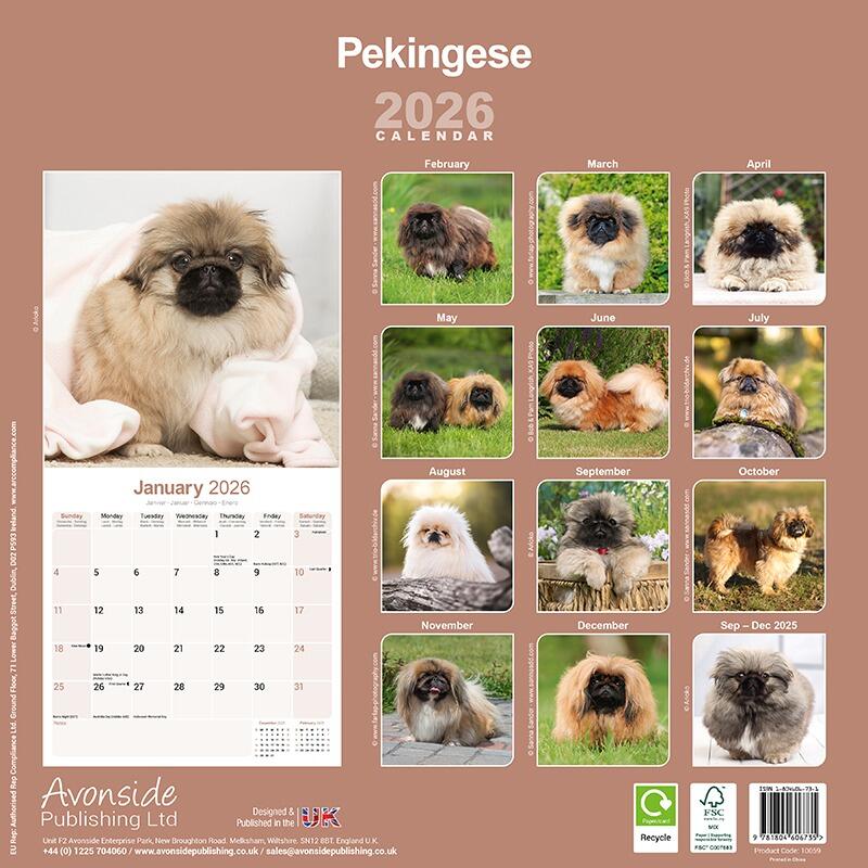 Pekingese Calendar 2026