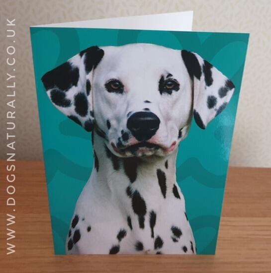 Dog themed greetings cards