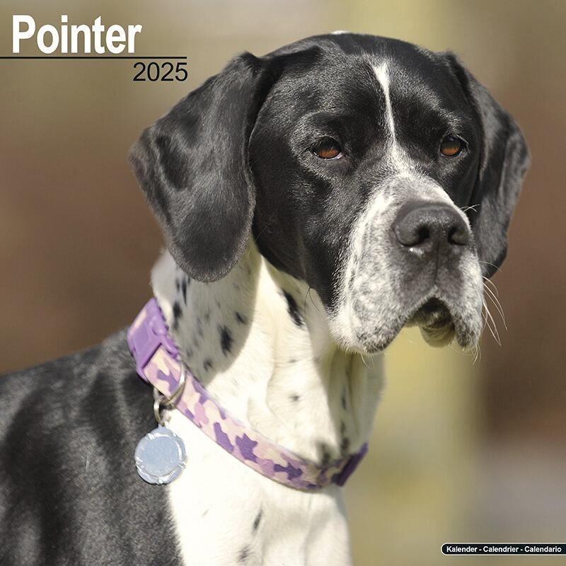 English Pointer Dog Breed Gifts