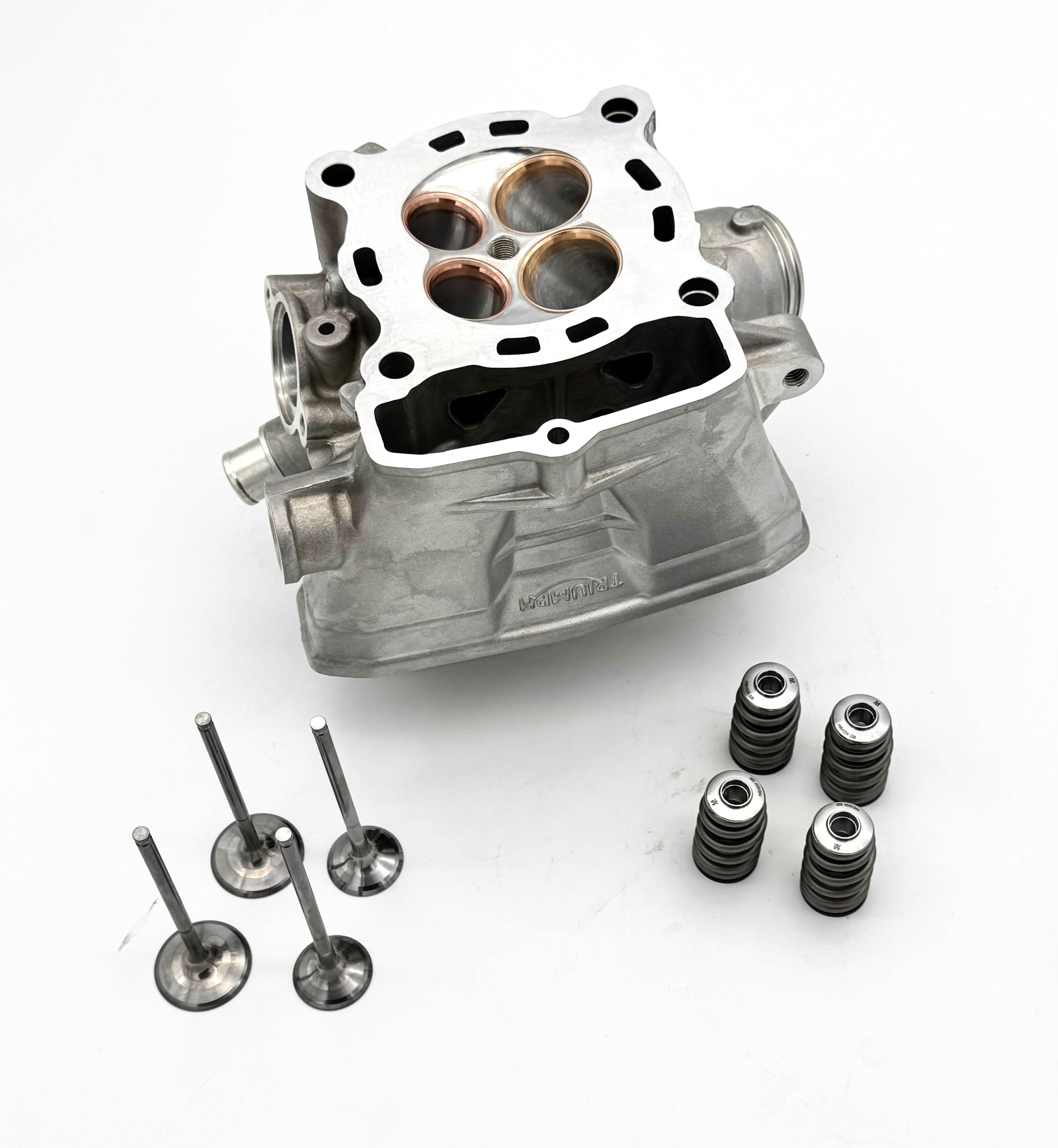 TRIUMPH TX250F GP Race Spec Motor (Fitted and Installed)