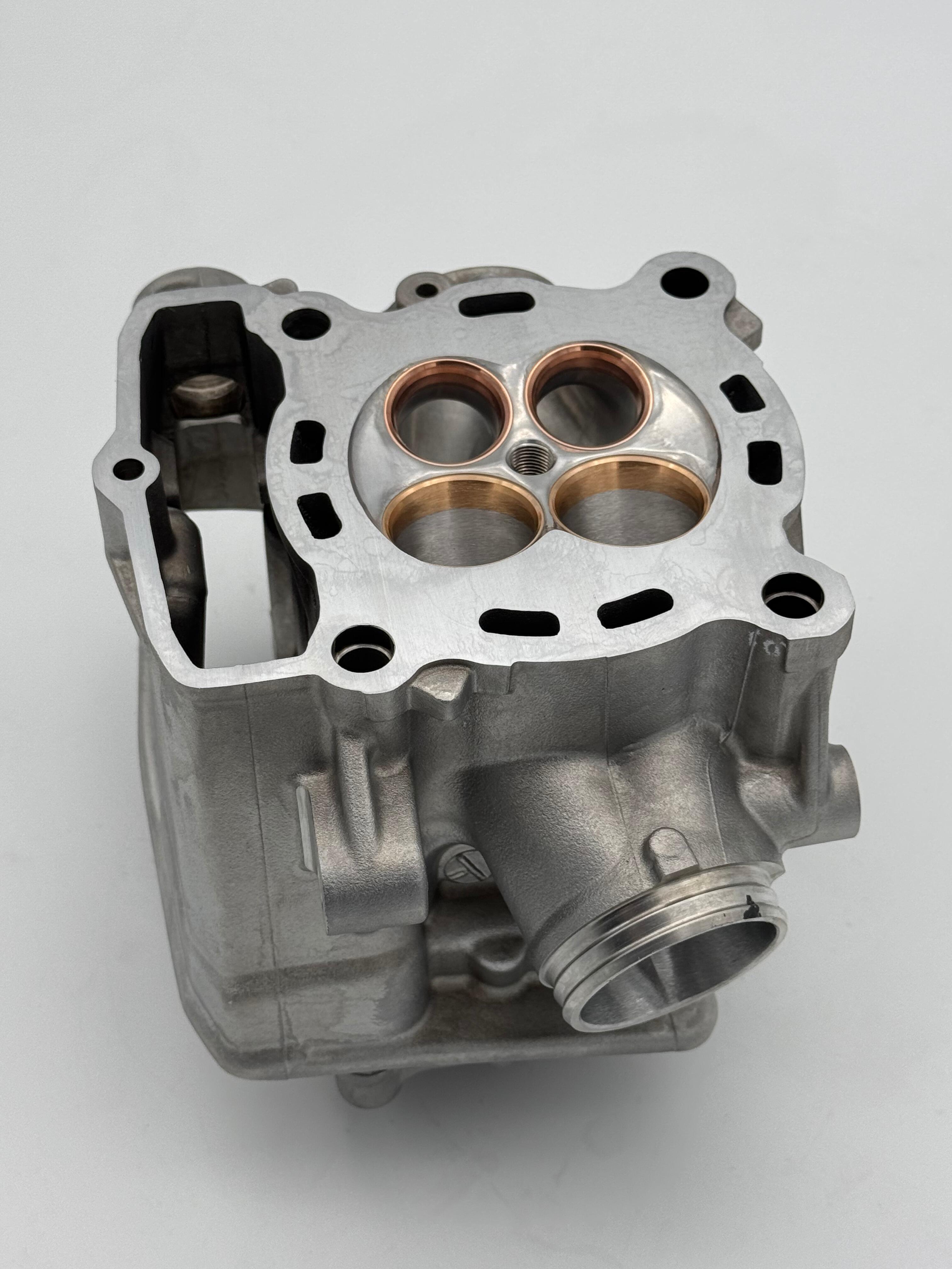 TRIUMPH TX250F GP Race Spec Motor (Fitted and Installed)