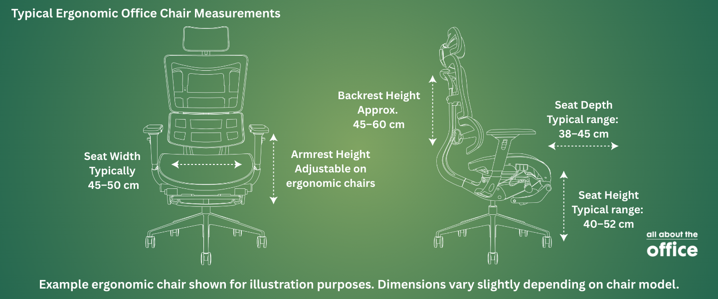 Office Chair Size Guide | Seat Height, Depth & Desk Fit