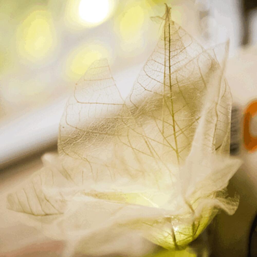 Natural Leaf - 20 Lamps