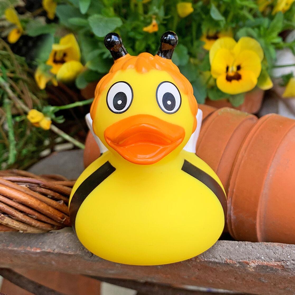 Susie the Bee Duck