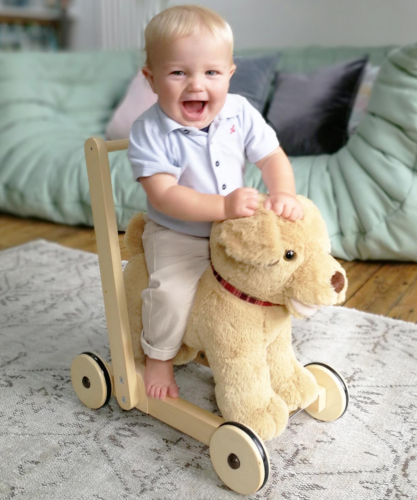 Dexter Dog Push Along