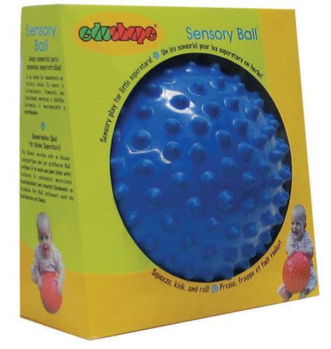 Large Sensory Ball